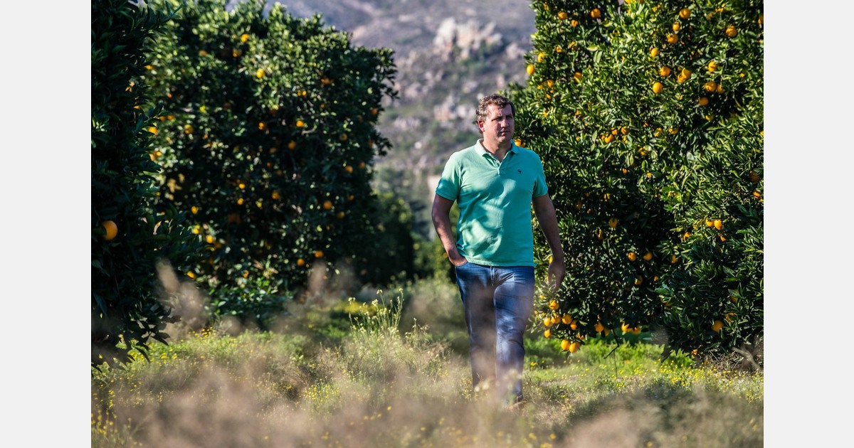 Citrus Growers’ Association of Southern Africa welcomes new Chairman ...