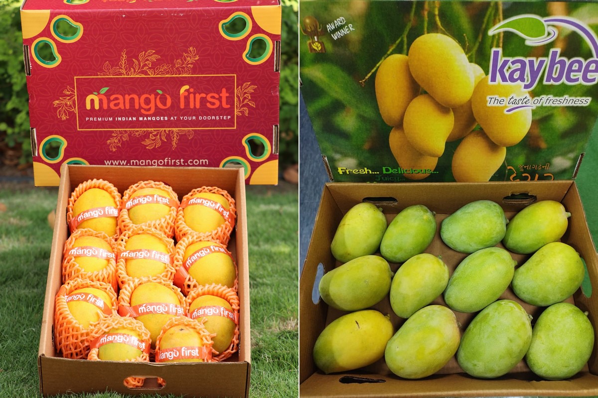 Indian mango prices higher due to increased air freight rates
