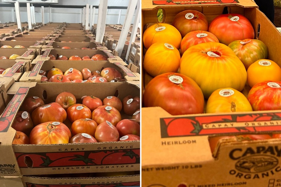 Small gap on imported organic Heirloom tomatoes until mid-April