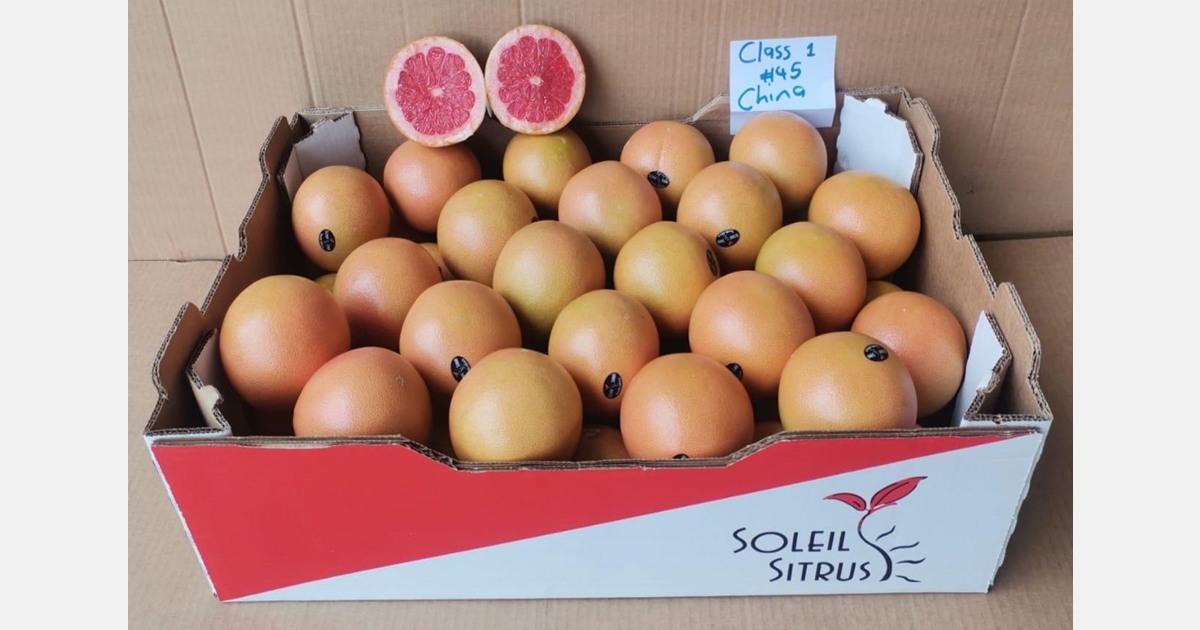 Soleil Sitrus’ natural inclination towards the Far East