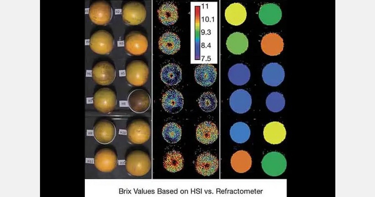 Using multispectral cameras to determine oranges' suitability for ...