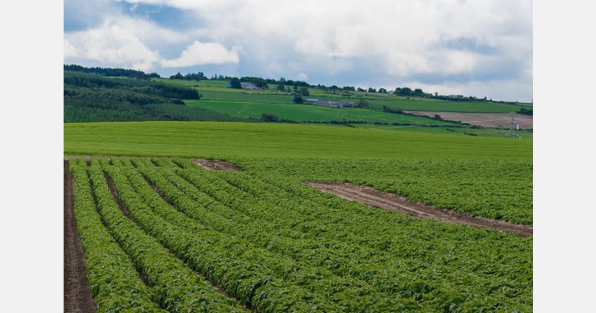 "People have to make individual decisions that affect the whole industry"