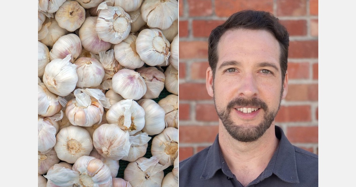 California finishing up organic garlic season