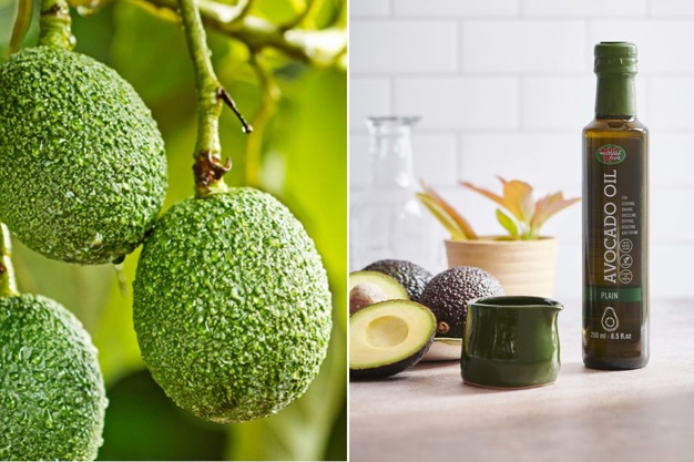 how to make avocado pear oil