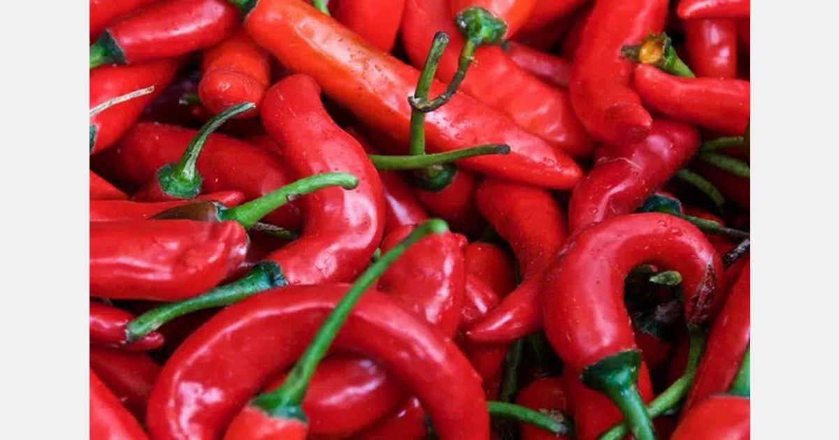 Vietnamese chili exports to China sees upsurge in March