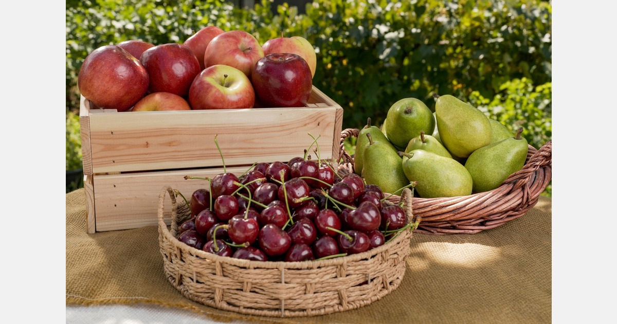 Washington apple movement gaining ground