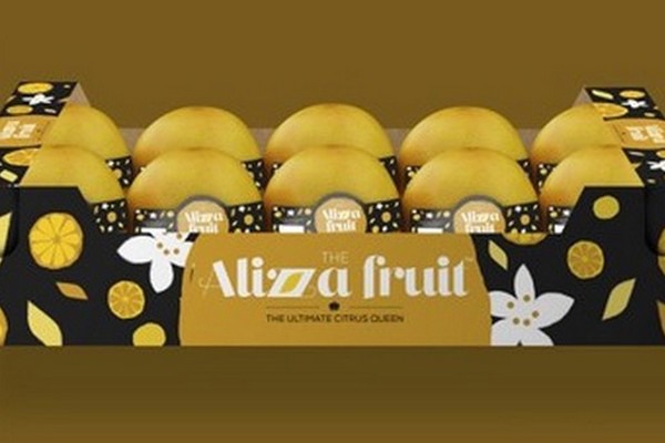 The Alizza Fruit™ season 3 wins award and production expands to South ...