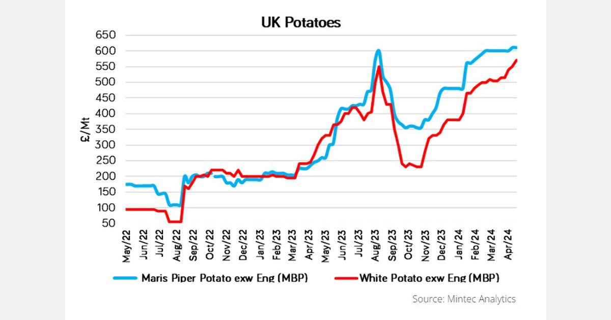 UK potato prices at record highs