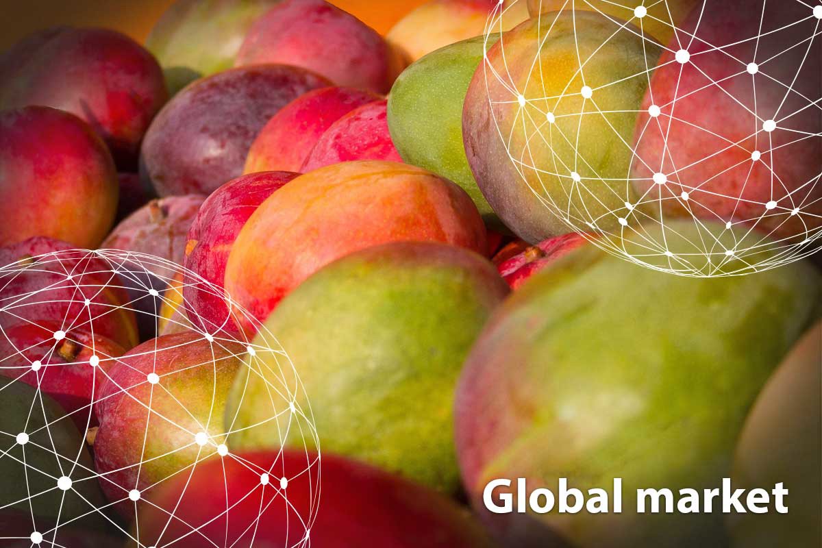 GLOBAL MARKET OVERVIEW MANGOES