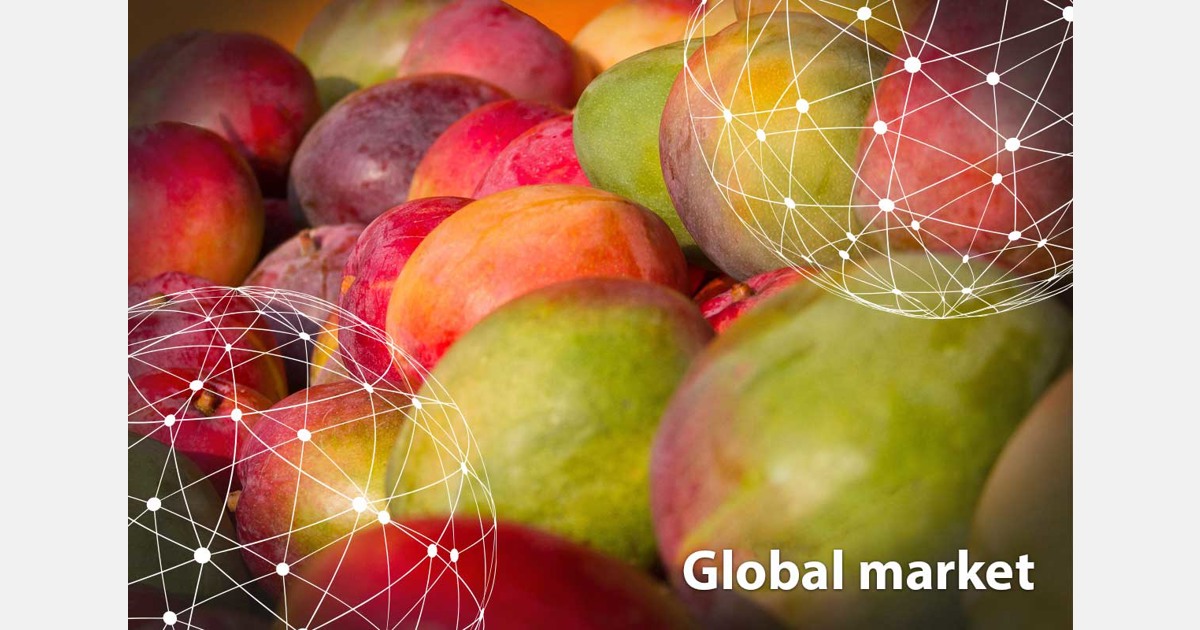 GLOBAL MARKET OVERVIEW MANGOES