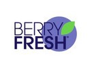 Regional shifts and peaks ahead on berry supplies