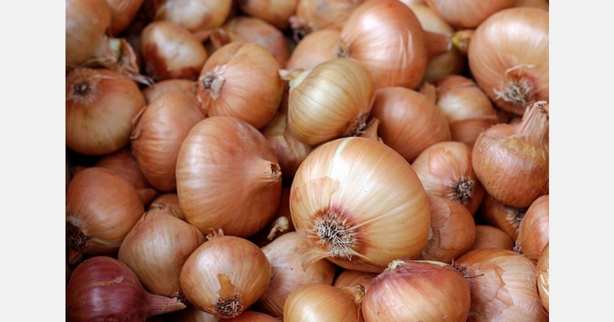 India eases onion export restrictions to Sri Lanka and the UAE