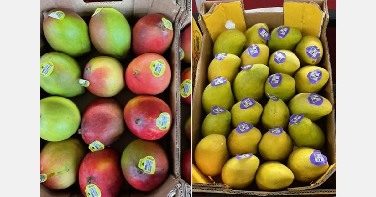 Mango pricing could start coming down