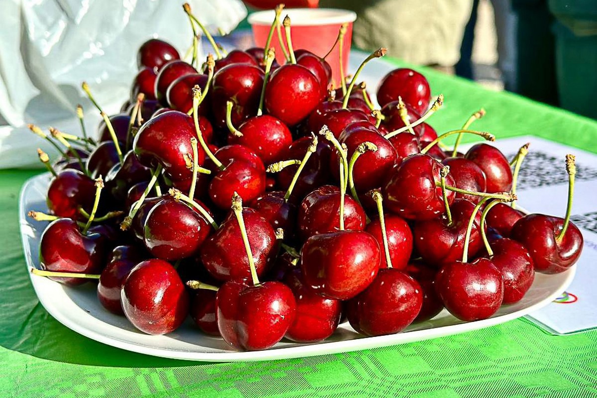 New program for Cherry International Open Day