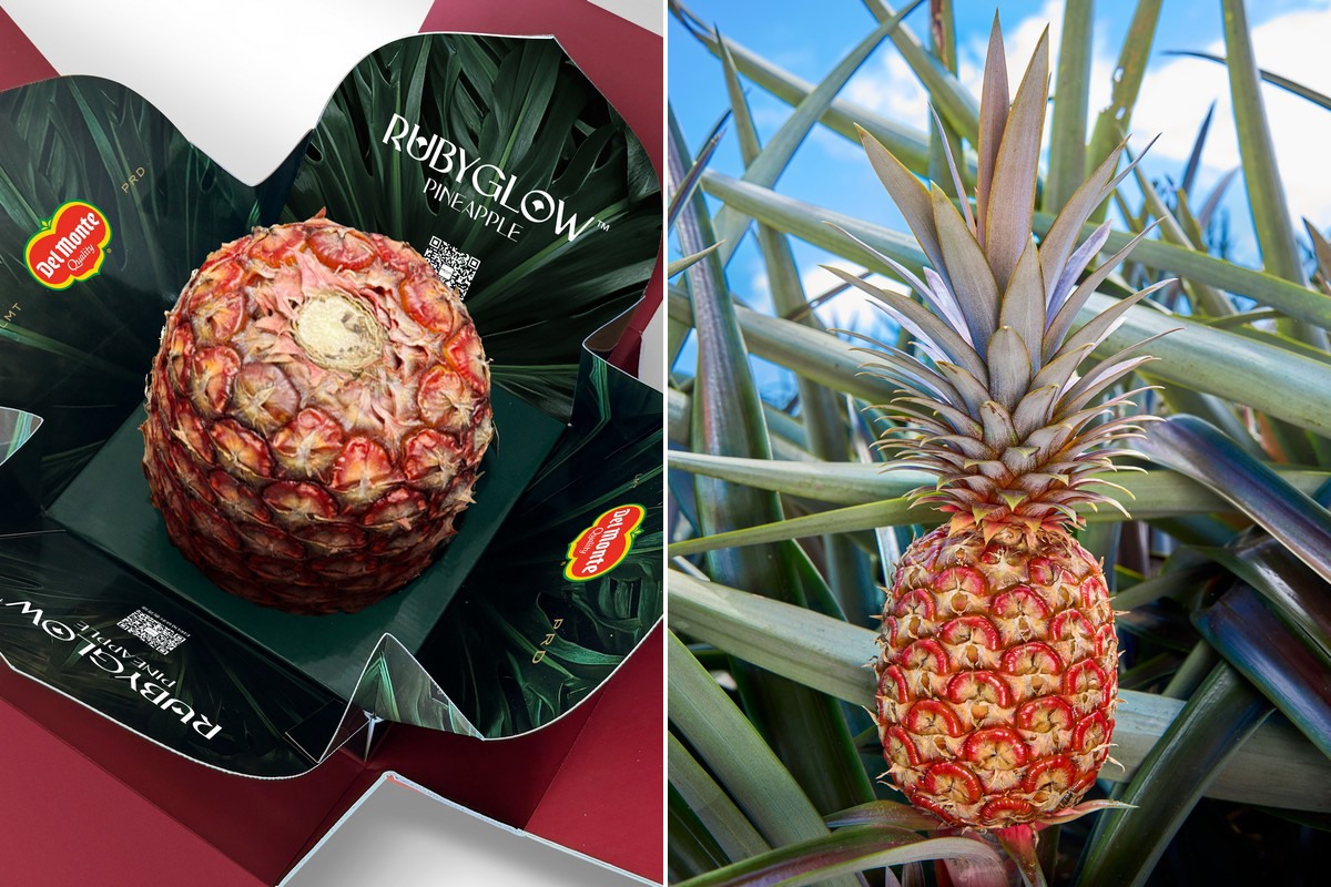 Rubyglow pineapple coming to U.S. market
