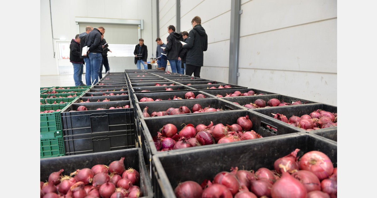 “Robust varieties with sturdy root systems are most sought after”