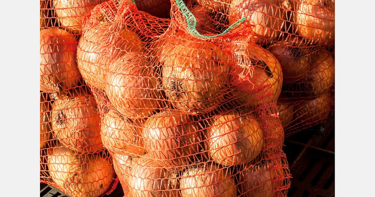 Indian onion traders worried about global competitiveness