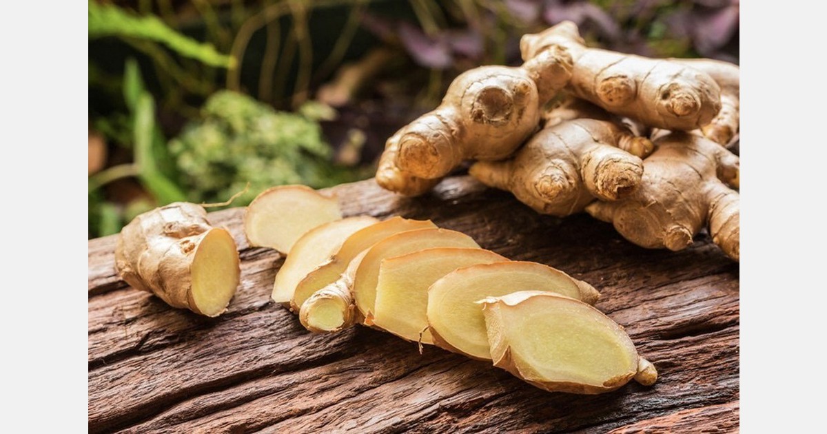 Ginger market crisis: record-high prices trigger importers’ alarm