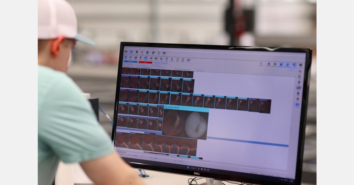 Cherry packhouses experience efficiency and profitability benefits of ...