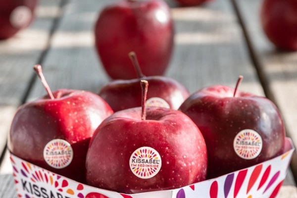 Kissabel apples, a season of growth for the Southern Hemisphere