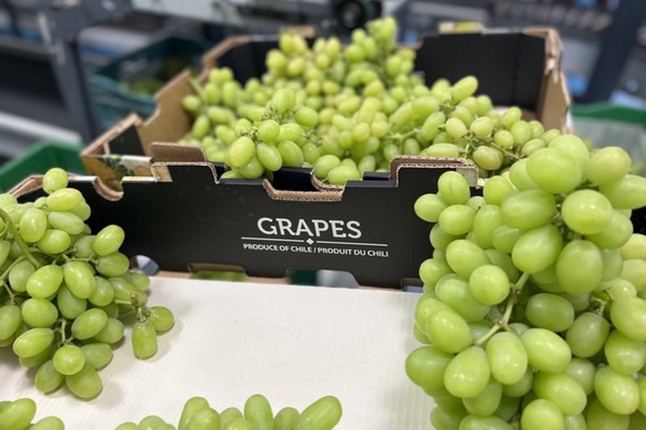 Chile wraps up shipments of newer varietal grapes
