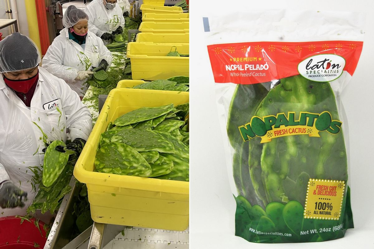 Not many consumers know about the nutritional value of cactus products