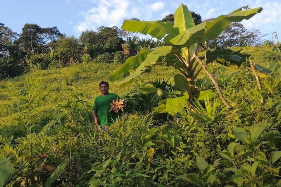 First air shipment of organic Peruvian ginger landed in the U.S. yesterday