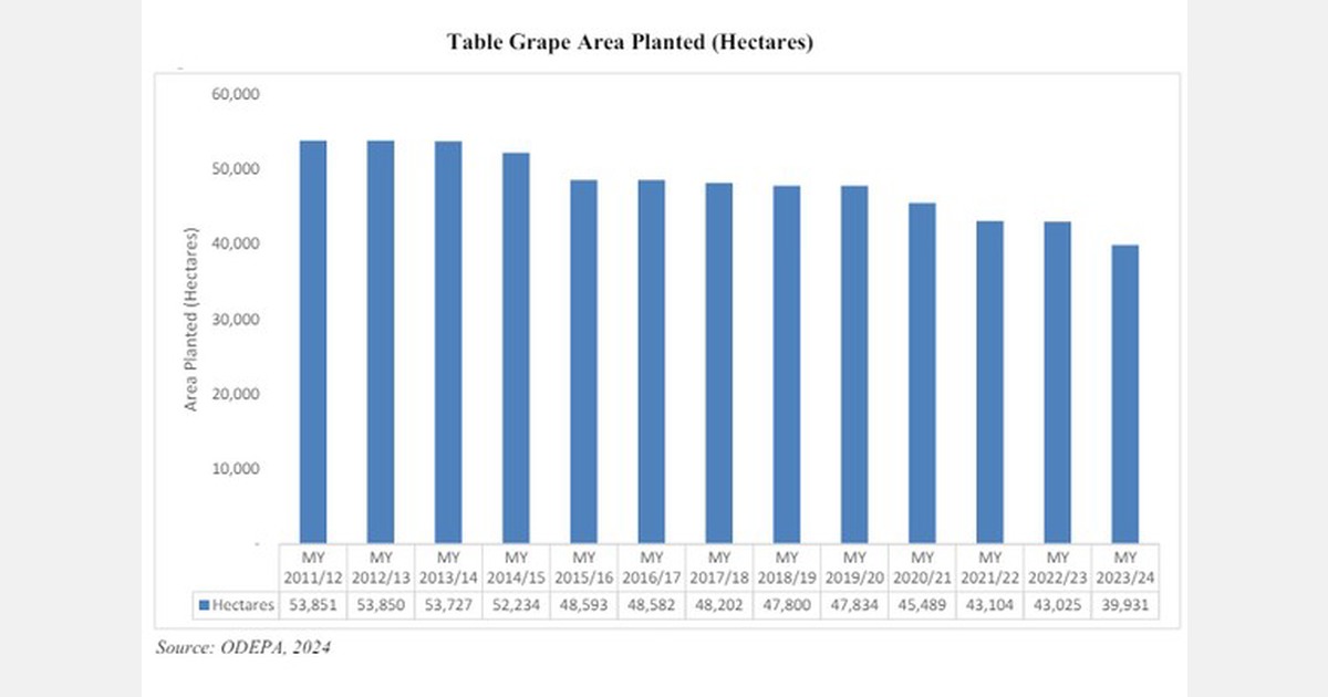 Chilean table grape production and exports expected to total 630,000 tons in MY 2023/24