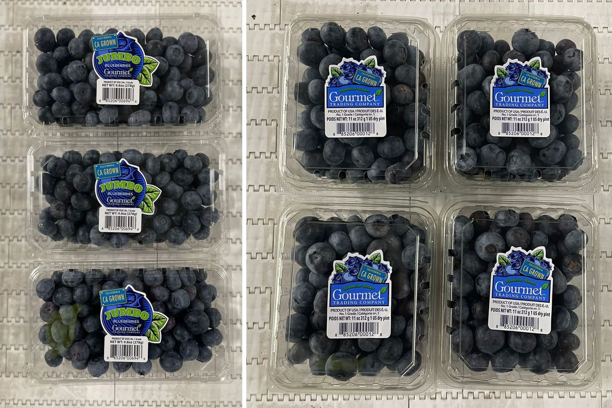 “High demand for blueberries is driven by strong supply and great quality”