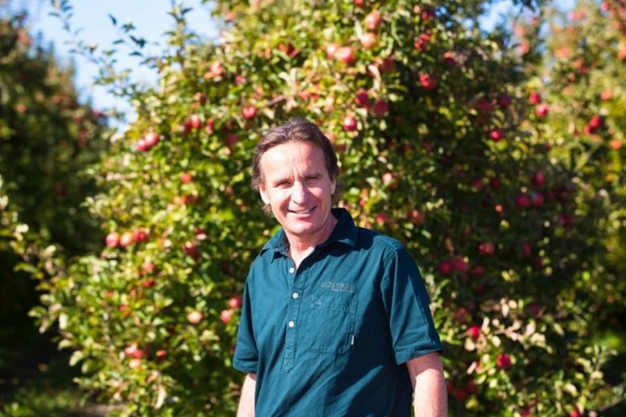 Bostock Group sells conventional apple orchards to Scales Corporation