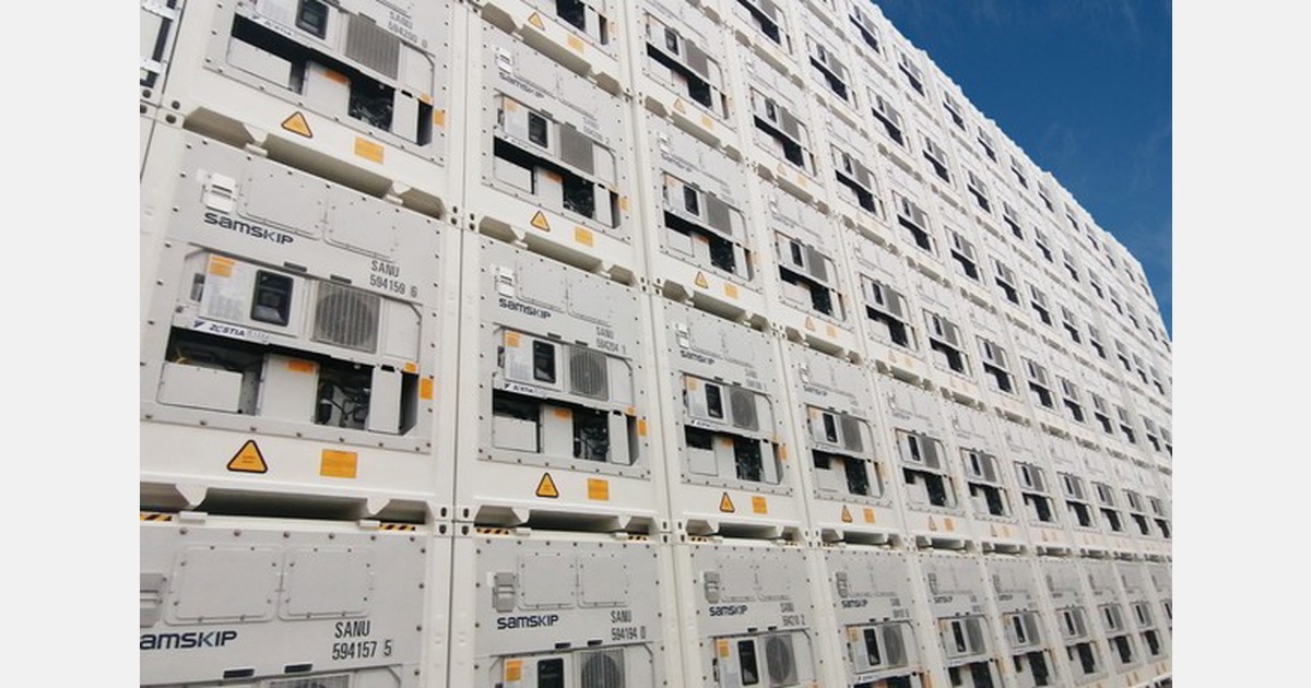 Bountiful harvests in the Southern Hemisphere drive reefer shipping growth