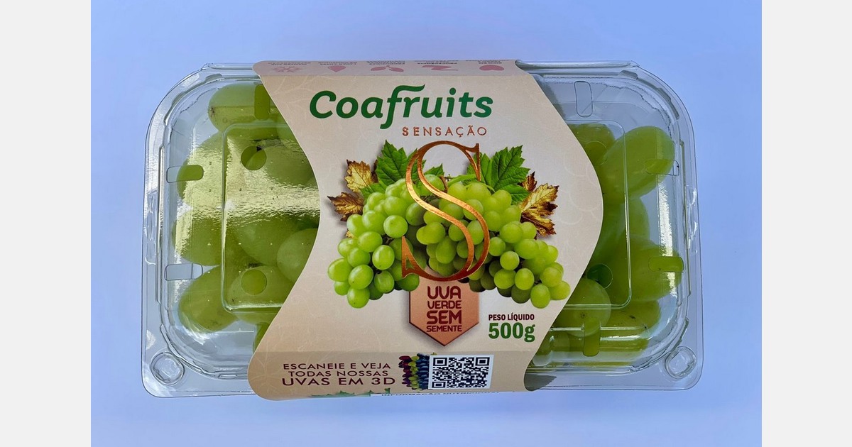 “Heavy rains so far, have made exporting table grapes from Brazil ...