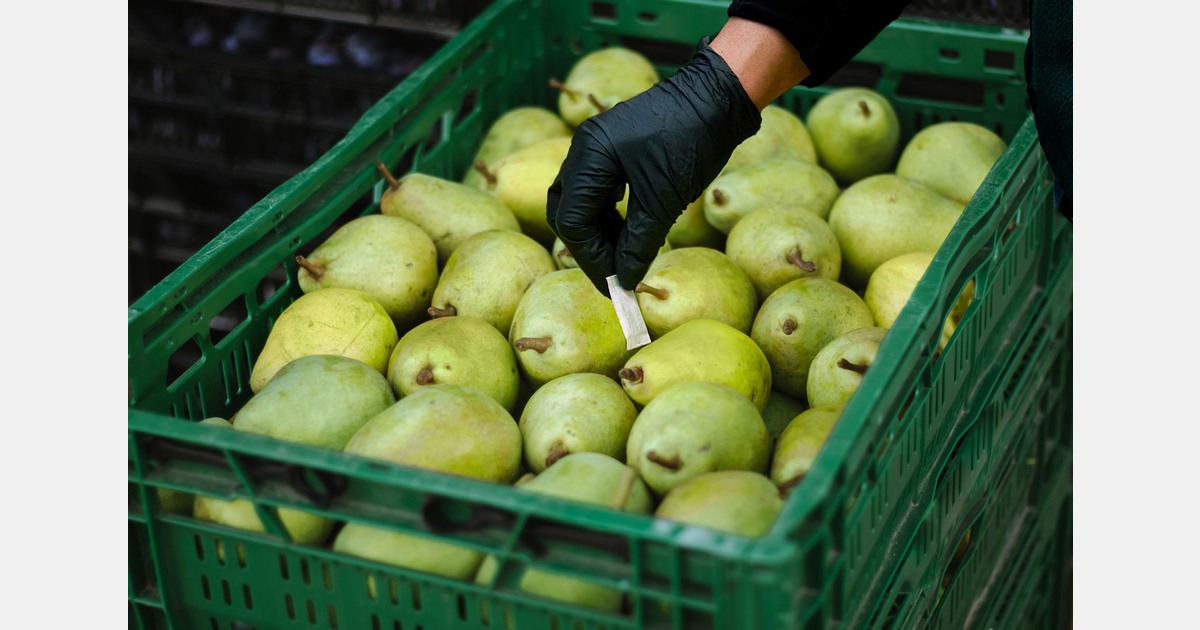 Canadian market next for produce shelf life extension technology