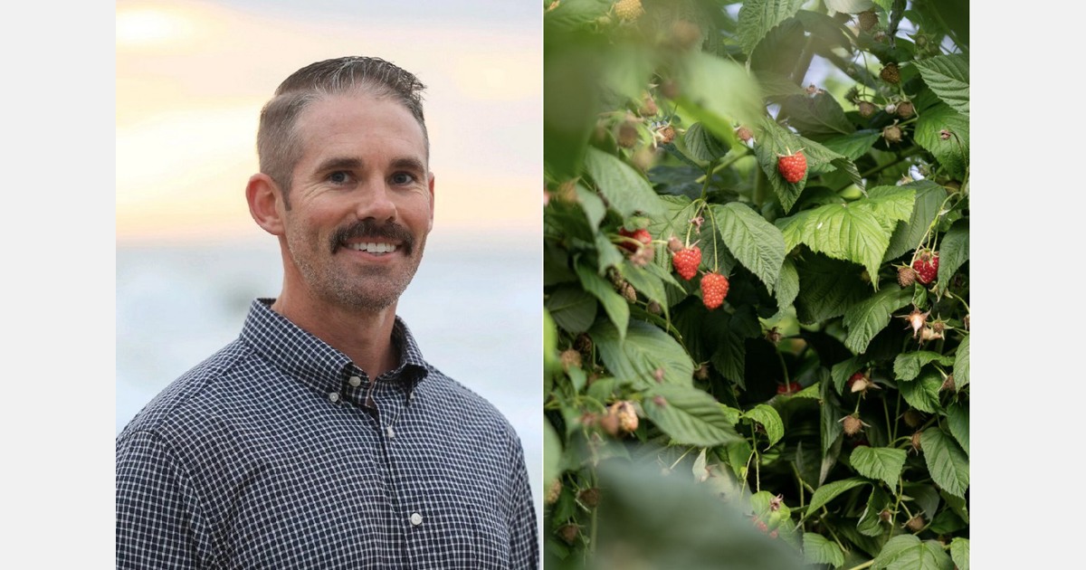 New varietals and growing practices are helping boost raspberry consumption