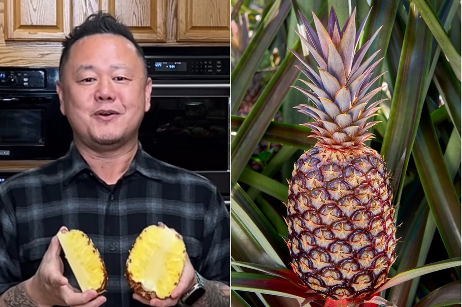 How $400 pineapples sold out in days