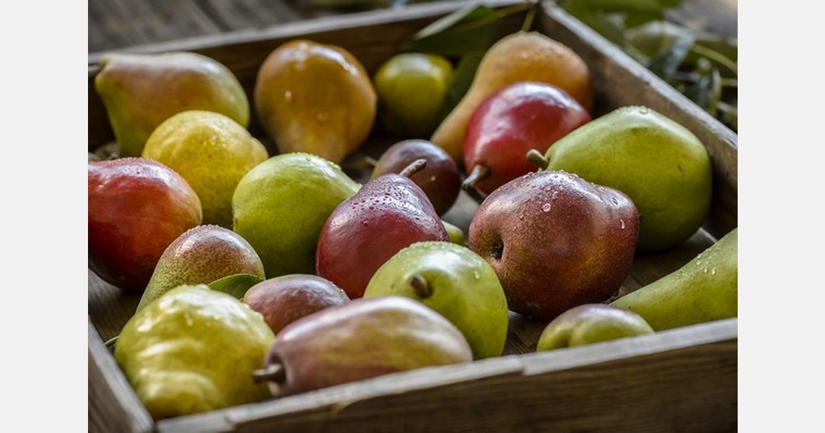 USDA awards $4 million to Pear Bureau Northwest to diversify export markets