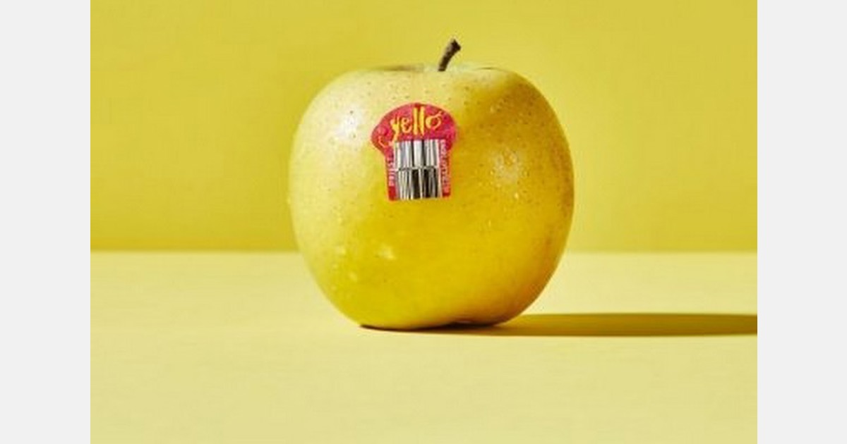 Montague announces the return of the yello apple