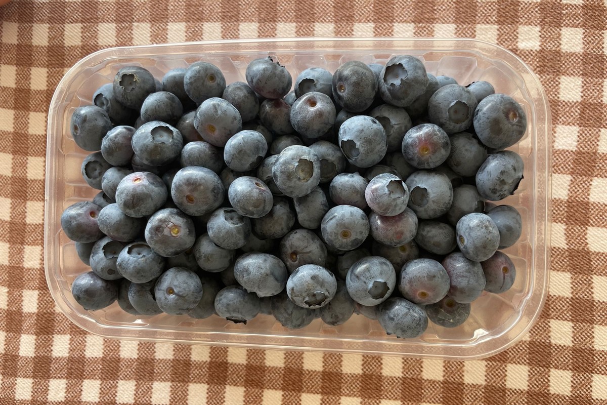 Spring frost strikes Serbian blueberry plantations