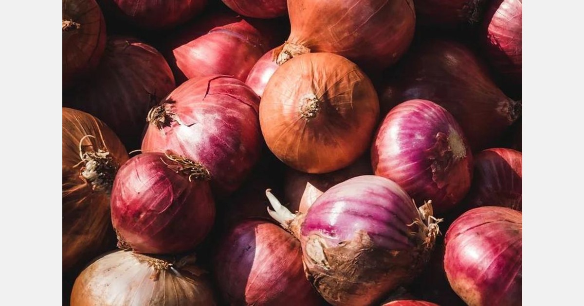 Dutch onions cheaper than Egyptian onions on the West African market