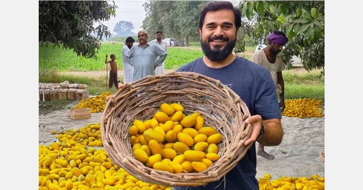 Pakistani mangoes arrive in the UAE