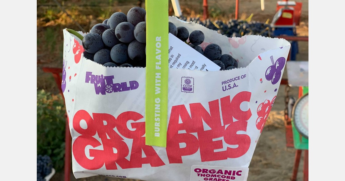 New organic table grape varieties unveiled