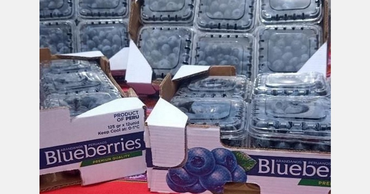“Peru’s blueberries are expected to achieve a new growth record in this ...