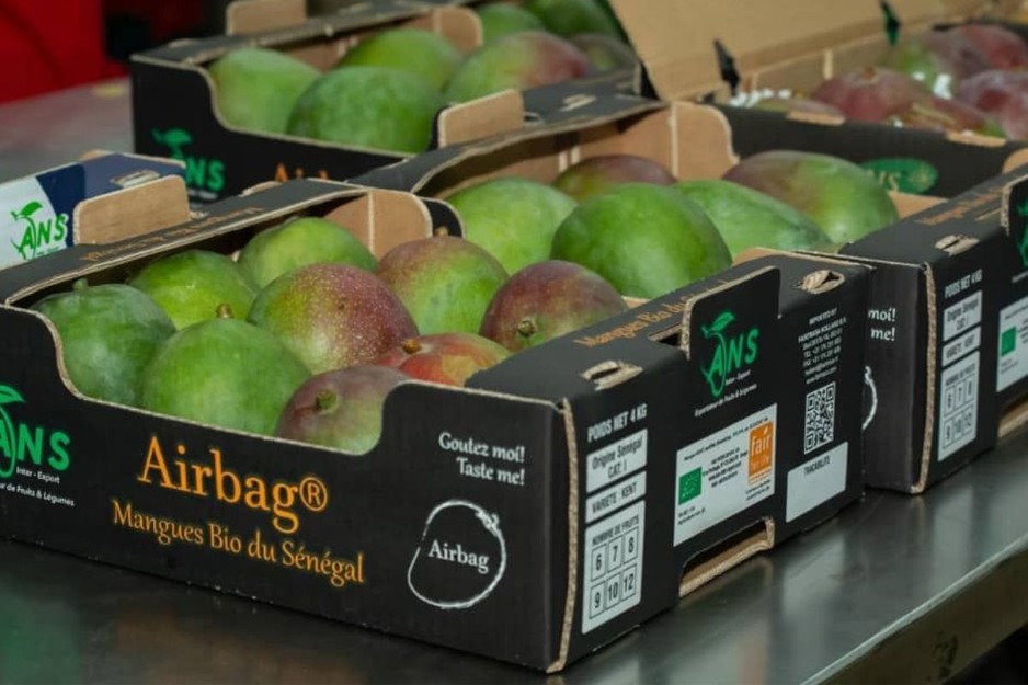The Senegalese mango season begins with lower volumes