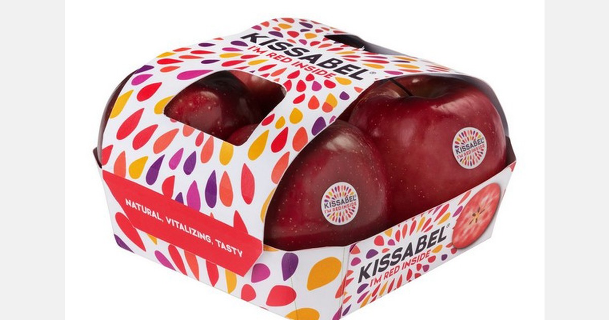 Kissabel apples are gaining attention in Australia's orchards