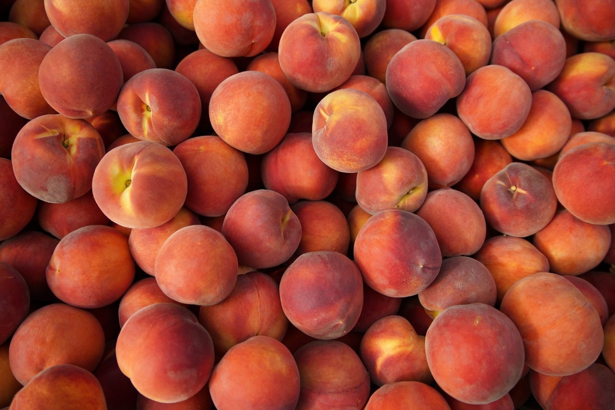 Earlier, but more historical start for California stone fruit