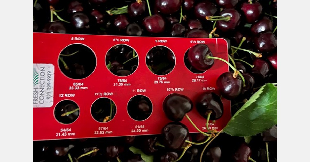 Cherry exports expected to pick up as crop transitions from California ...