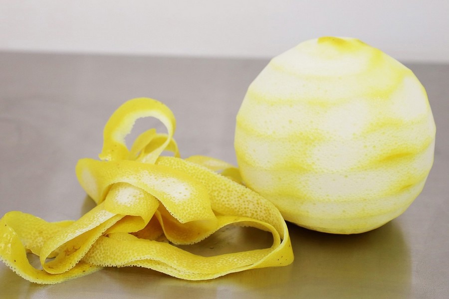 Astra launches new model for peeling large citrus fruits