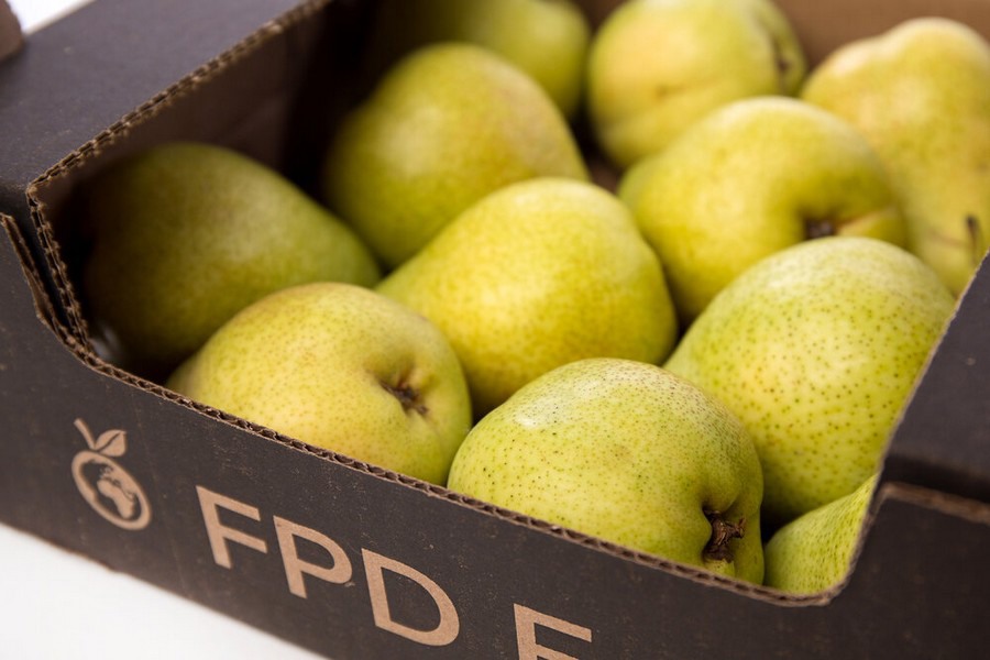 Stronger movement in Canada on South African pears