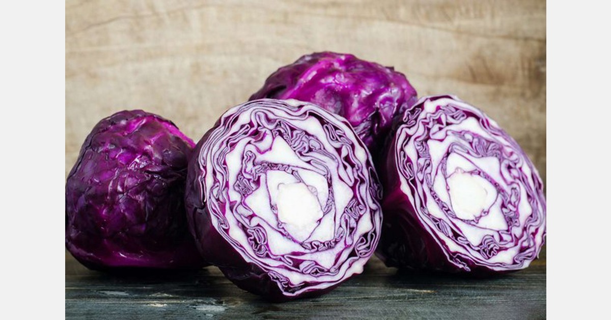 U.S. research explores red cabbage juice for IBD relief