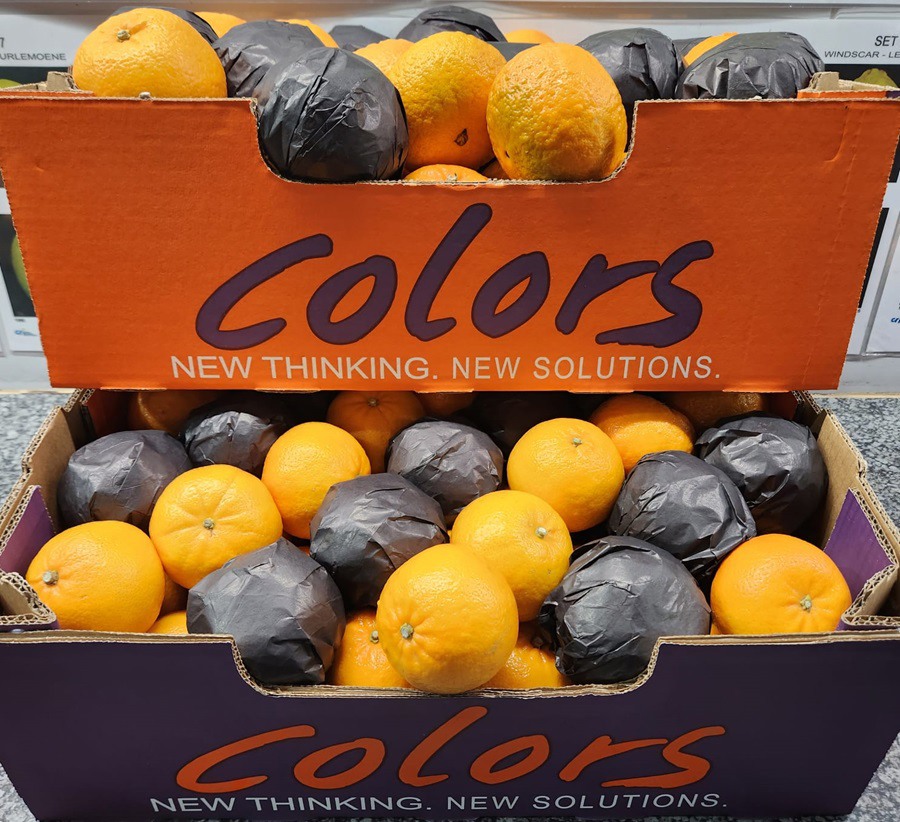 Soft citrus shift in the Cape to avoid clash with late mandarins